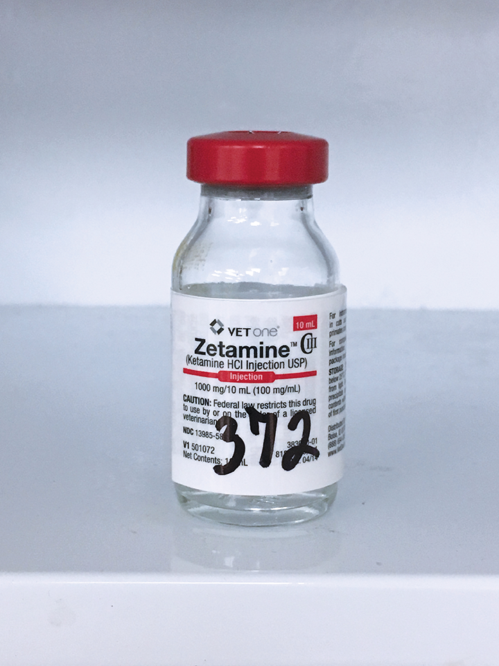 Martin Kennedy's Daily Essentials | Clinician's Brief