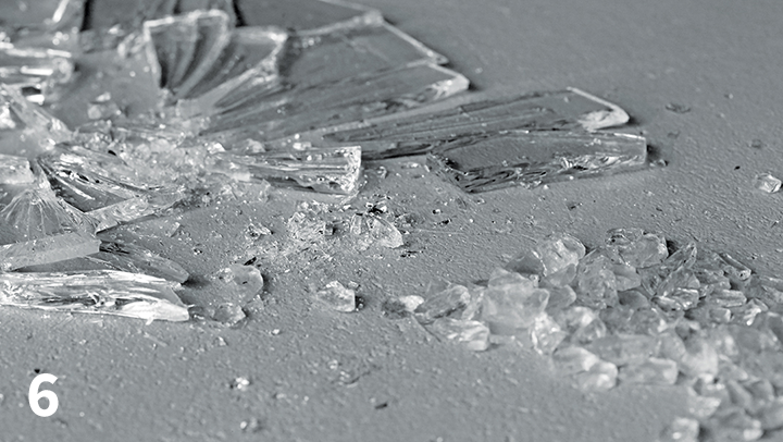 Glass Ingestion in a Boxer: 1 Case, 2 Options | Clinician's Brief