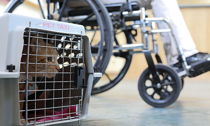 Accommodating Clients with Disabilities | Clinician's Brief