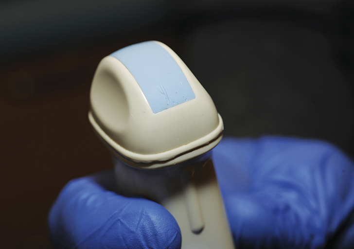 Guide to Performing Cystocentesis in Dogs & Cats | Clinician's Brief