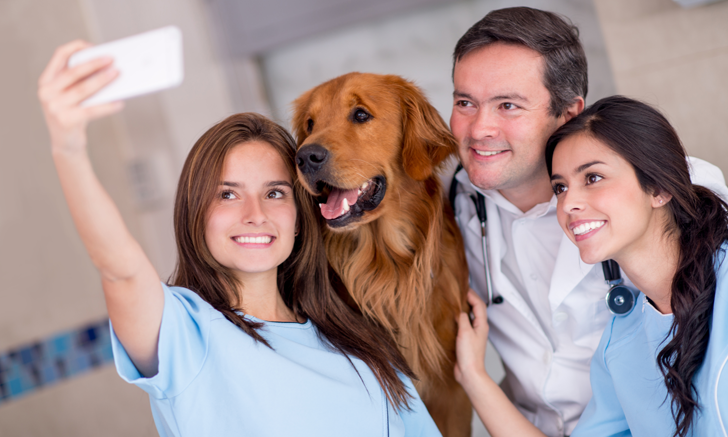 Veterinary Breakroom: Our Take on Personal Branding | Clinician's Brief