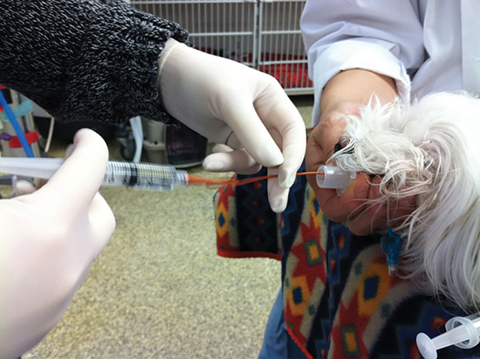 Transoral Tracheal & Transtracheal Airway Wash | Clinician's Brief