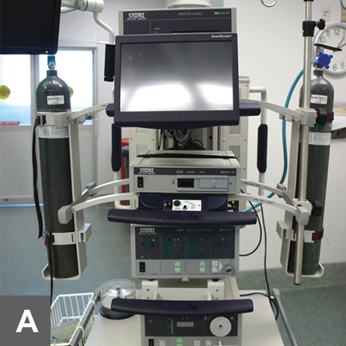 Open & Laparoscopic-Assisted Incisional Gastropexy | Clinician's Brief