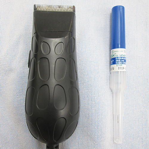 Scrotal Approach to Canine Orchiectomy | Clinician's Brief