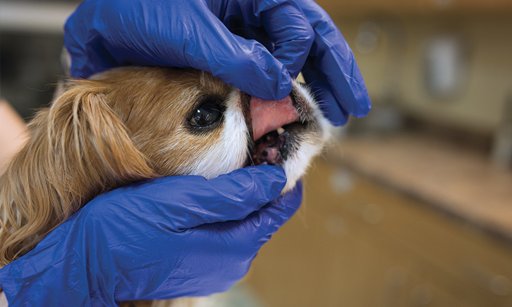 Assessing Patient Hydration | Clinician's Brief