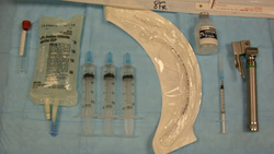 Bronchoalveolar Lavage Fluid Collection Using a Blind Technique ...