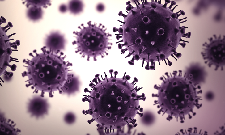 Canine Influenza | Clinician's Brief