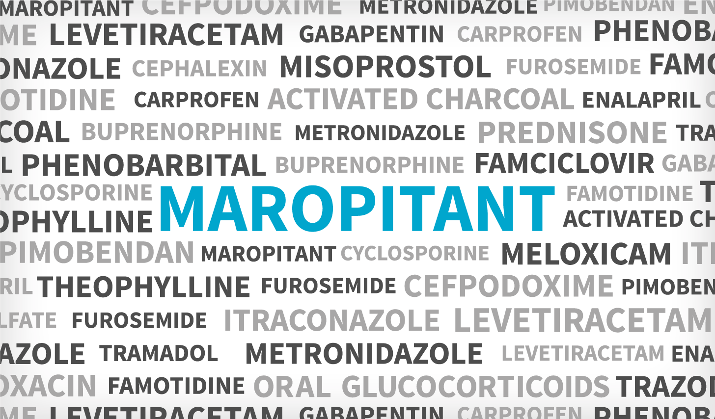 Maropitant | Clinician's Brief
