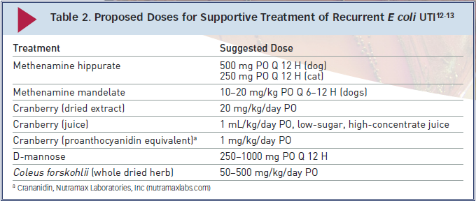 Managing the E coli UTI | Clinician's Brief