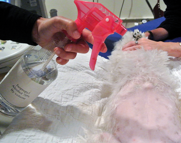 Fine-Needle Aspiration of the Liver | Clinician's Brief