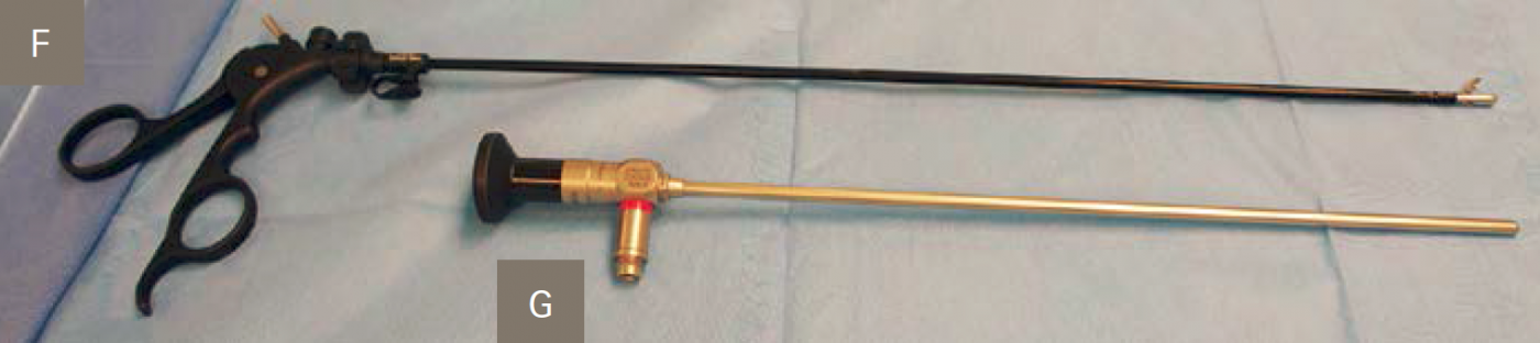 Pancreatic Biopsy | Clinician's Brief