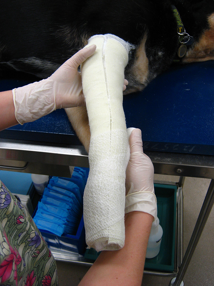 Effective Casting Techniques | Clinician's Brief